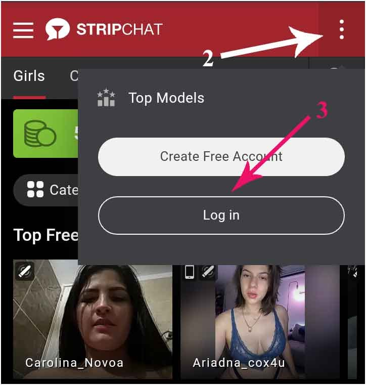 StripChat - Log Out